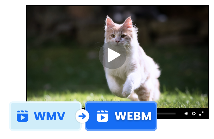Convert WMV to WMA Online for Free